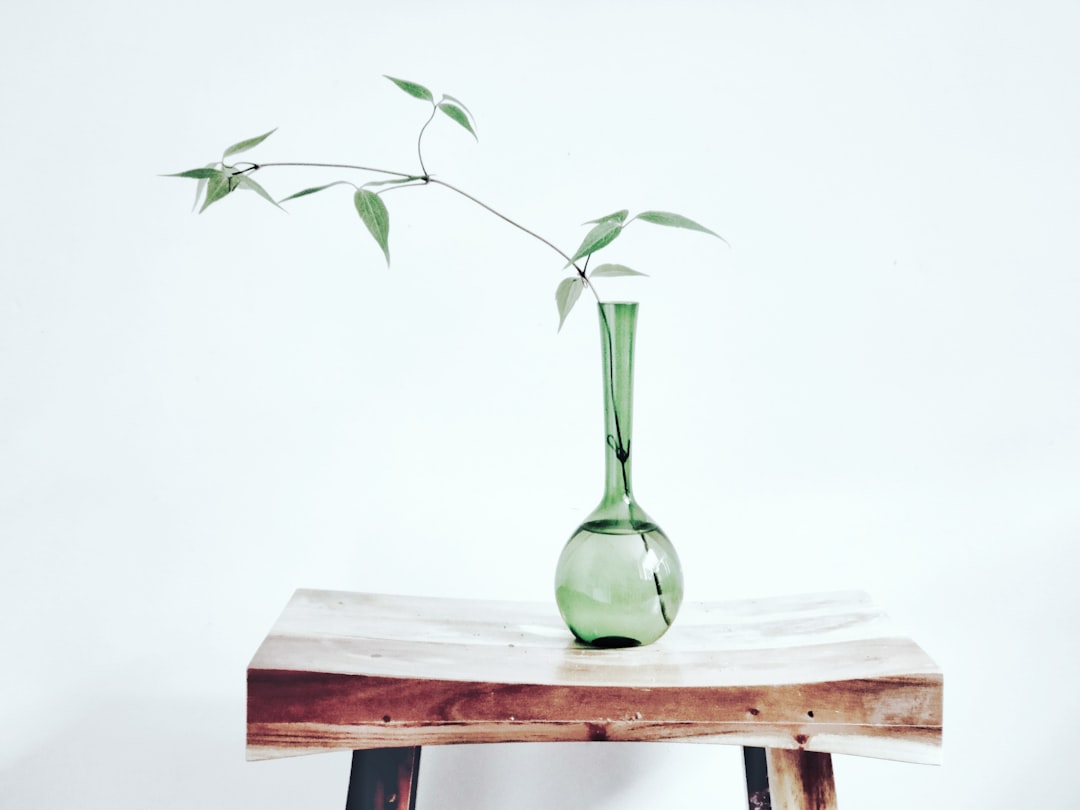 Minimalisme mode de vie : le guide ultime pour une existence simplifiée ...